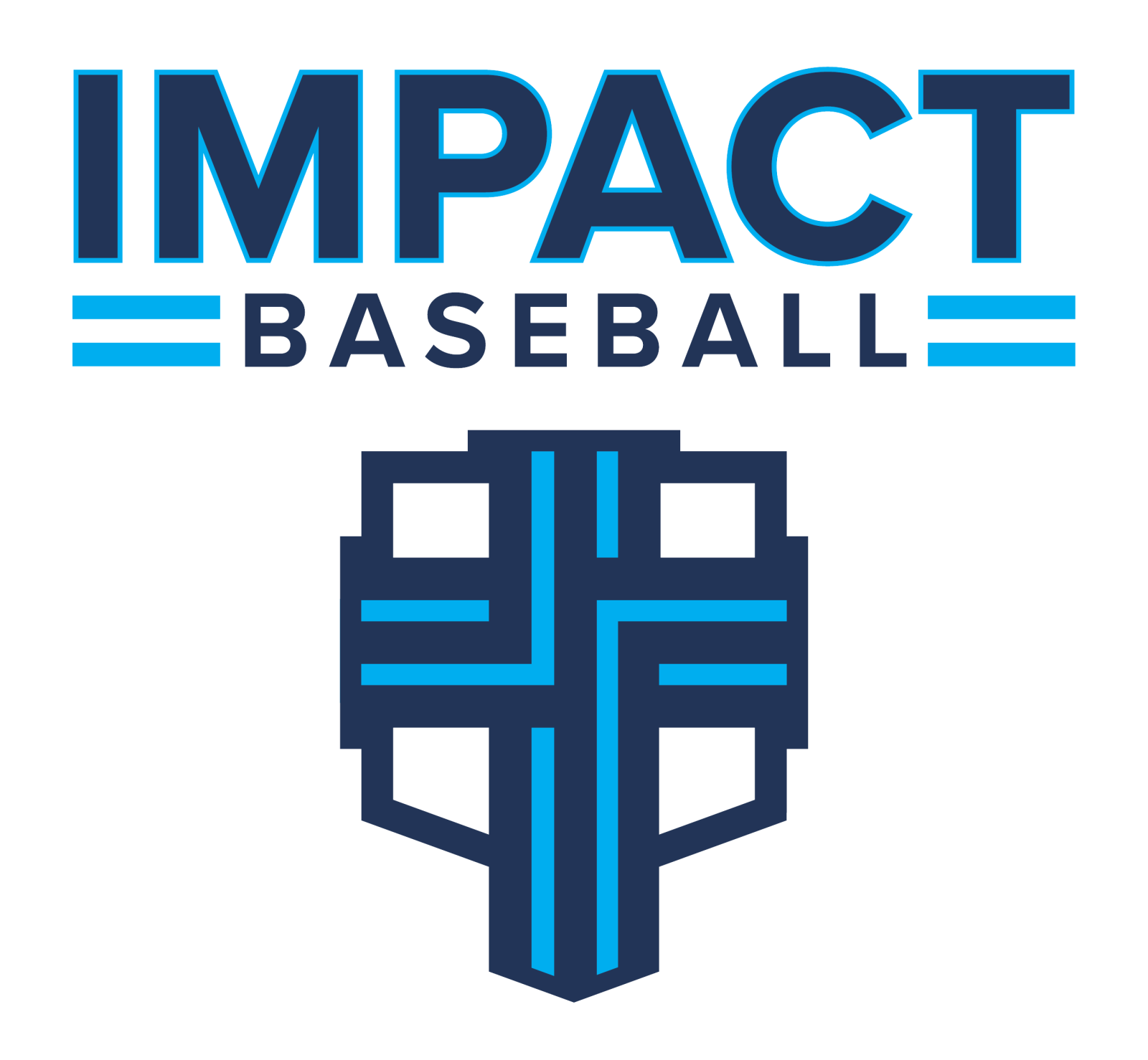 Impact Baseball Baseball: Youth Travel Team